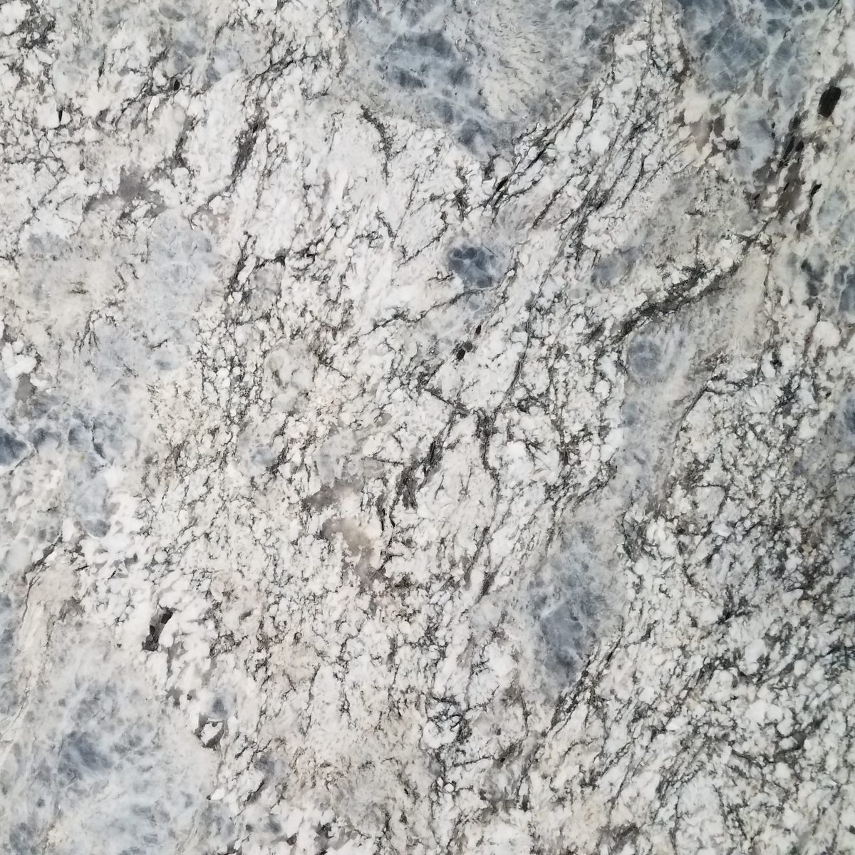 Blue Flowers - Stone Design Gallery of Venice